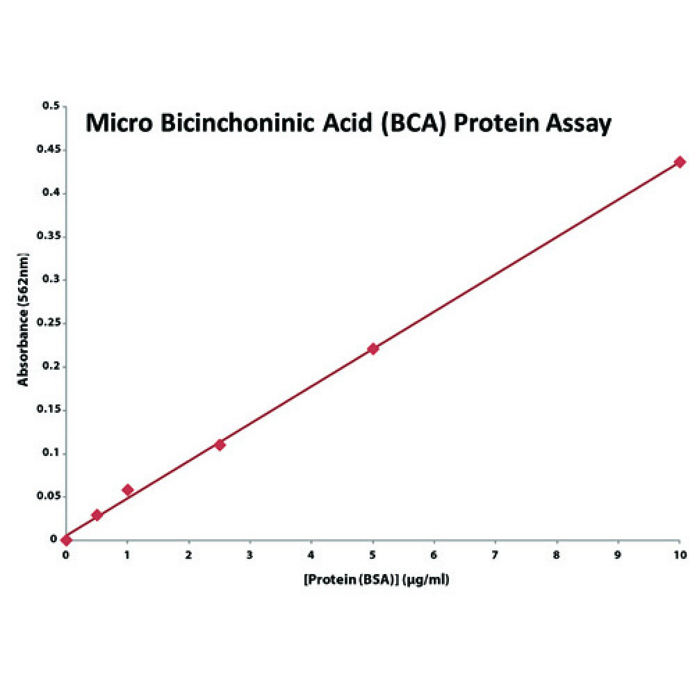 How To Do Bca Protein Assay At James Aviles Blog How To Do Bca Protein Assay At James Aviles Blog
